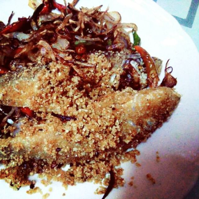 PEKASAM IKAN SEPAT BENUA DARI KUALA KEDAH | Shopee Malaysia