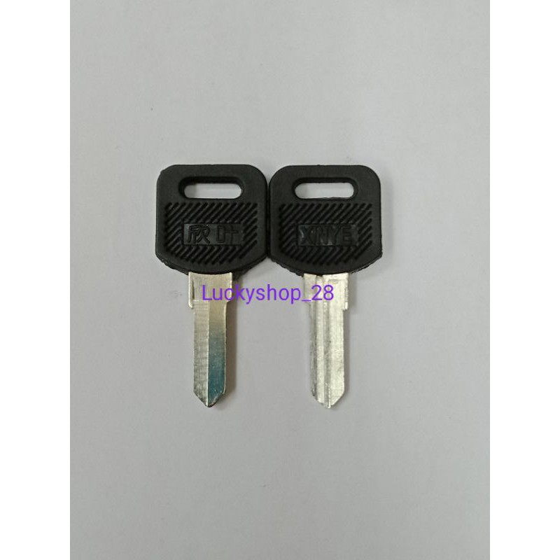 Xinye key material (RIGHT) | Shopee Malaysia