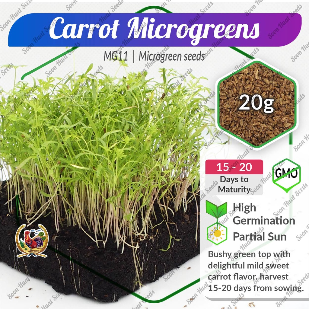 Benih Microgreen Carrot Seeds MG11 [20g] 萝卜芽 Soon Huat Seeds | Shopee ...