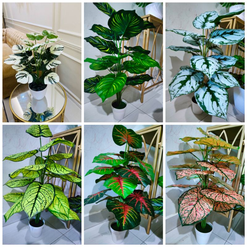 Pokok Hiasan Dalam Rumah Keladi Viral Fake Plant Decoration Monstera Albo Homedeco Baju Kurung ...