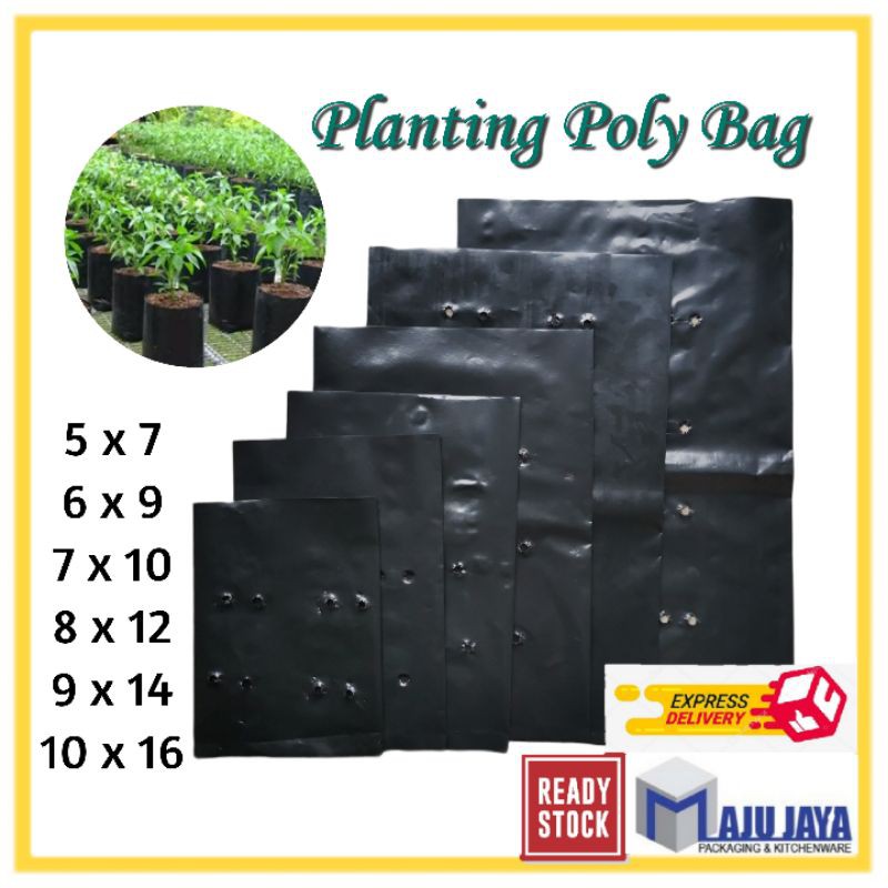 250gm± Polibeg Polybag Nursery Plantation Plastic Bag Poli bag Poly ...