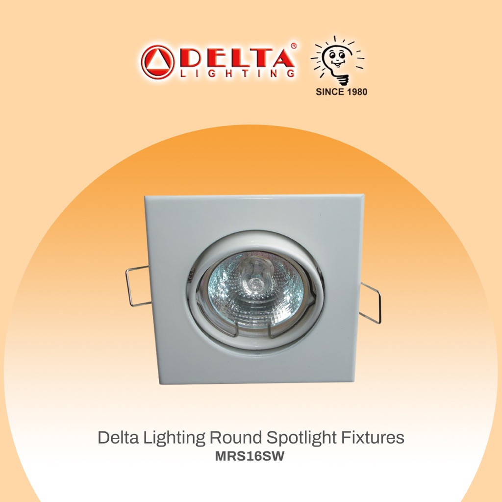 Delta Lighting Ceiling Lights & Industrial Highbay Spotlight Fixture ...