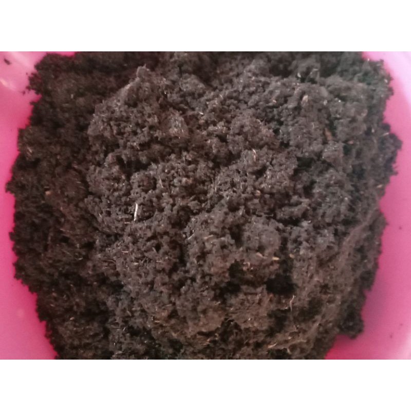 Tanah Semaian Peat Moss Holand 1 KG | Shopee Malaysia