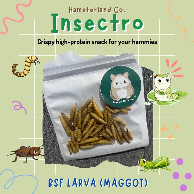 Insectro Series - Dried Cricket / Grasshopper / German Mealworms / BAF ...