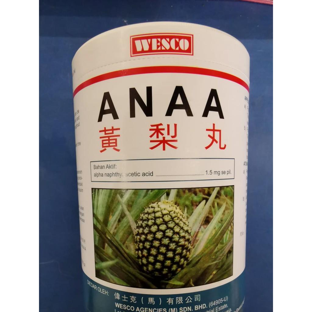 5000PCS - PIL HORMON NANAS (ANAA) | Shopee Malaysia