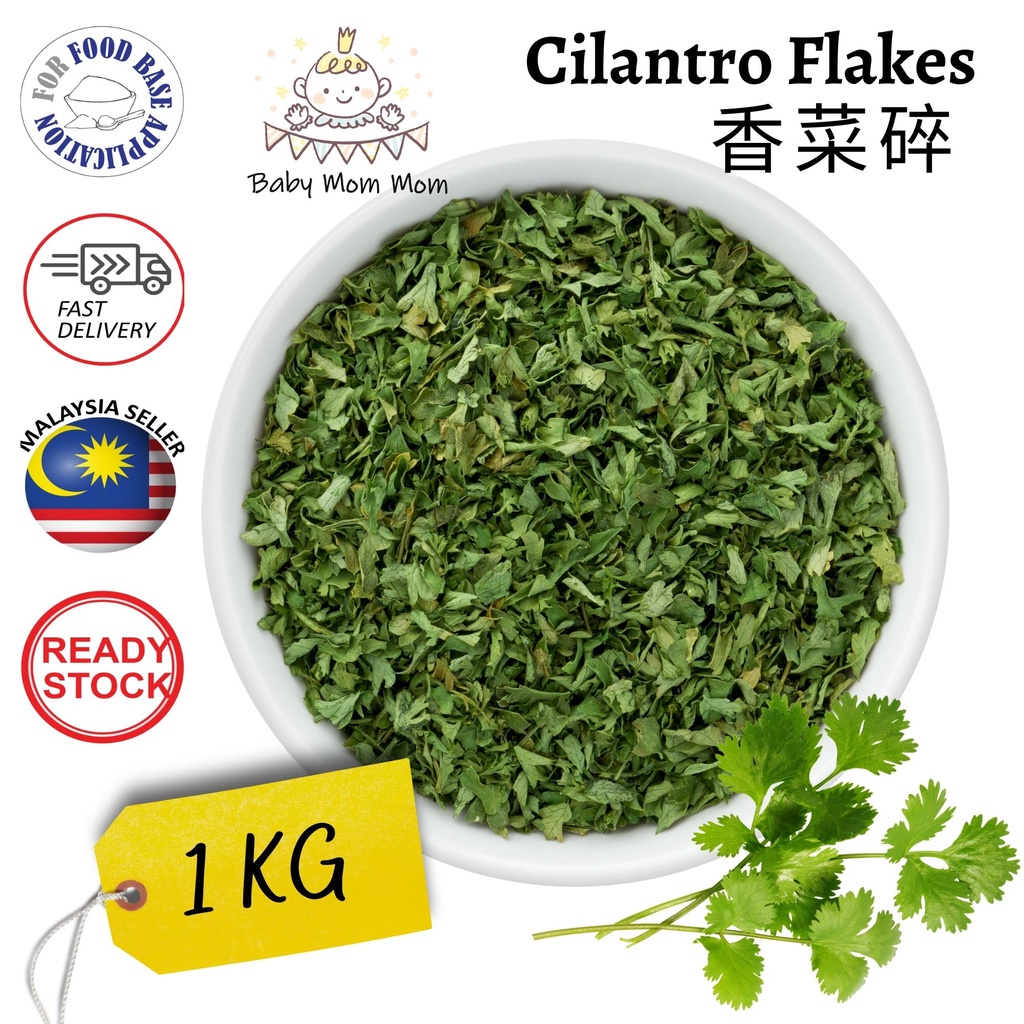 Cilantro Flake 1KG | Cilantro leaves flake | 干香菜碎 | Coriander Leave ...