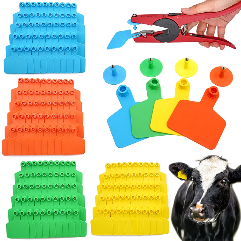 【Ready stock】100PCS Blank Cattle Ear Tags Cows Livestock Identification ...