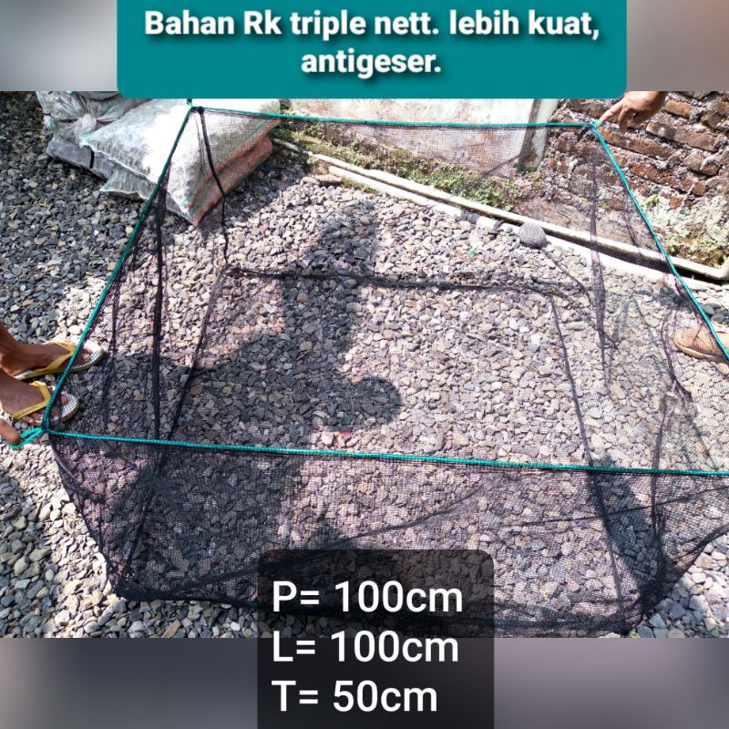 Fish cage 100cm x 100cm x 50cm. Rk Triple nett Waring material ...