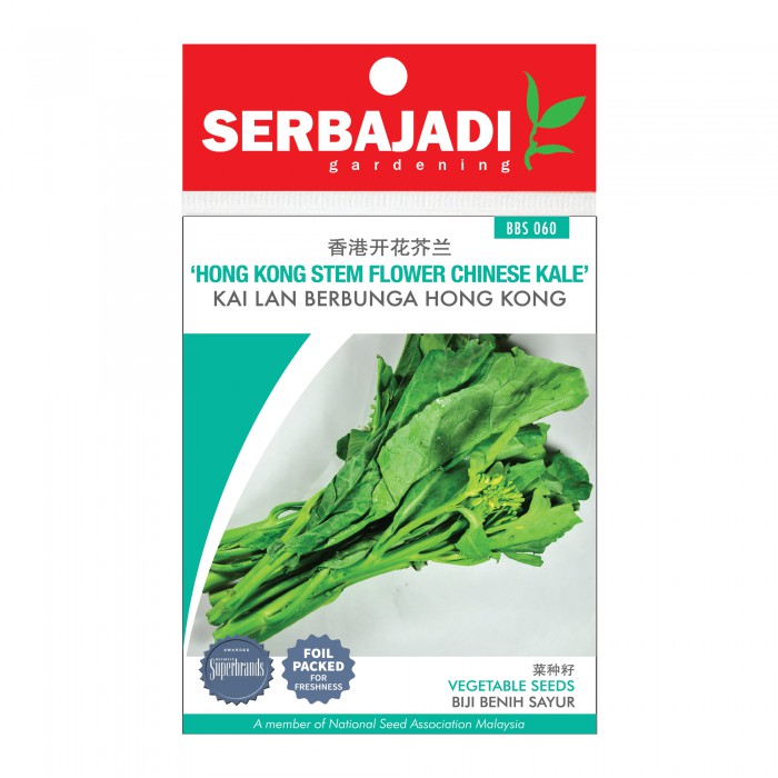 SERBAJADI SEEDS HONG KONG STEM FLOWER CHINESE KALE - KAI LAN BERBUNGA HONG KONG ( BBS 060 ...