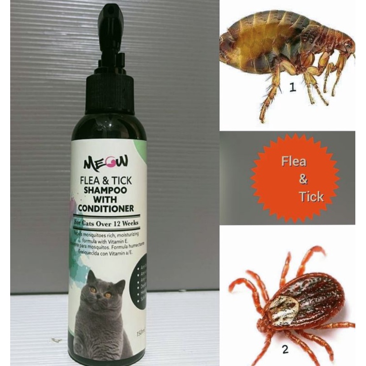 SHAMPOO KUTU 150ML BERKESAN UNTUK KUTU KUCING, ANTI BAKTERIA | Shopee ...