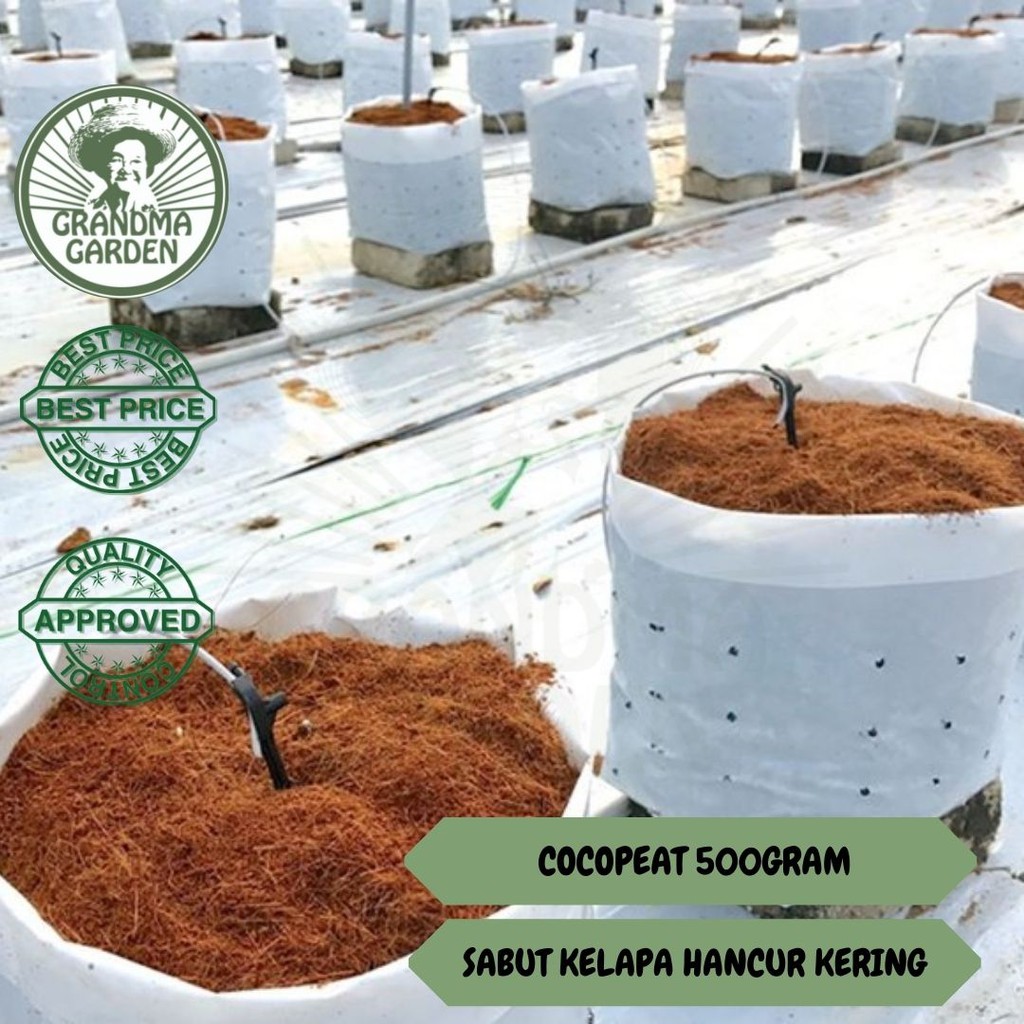 👵 COCOPEAT 500GRAM+- / COCO PEAT / SABUT KELAPA HANCUR KERING / KOKOPIT ...