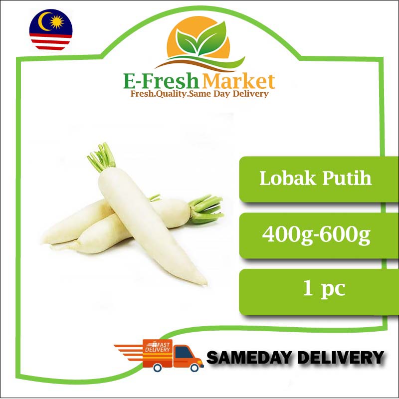 🔥Lowest Price🔥Fresh Vegetable Lobak Putih / White Radish 白萝卜 400g-600g ...