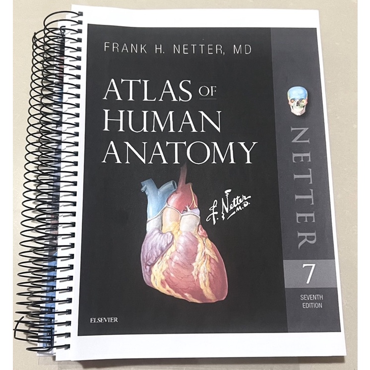Atlas Of Human Anatomy 7E by Frank H Netter | Shopee Malaysia