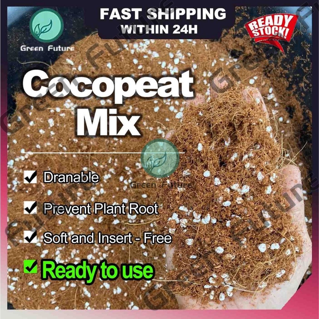 Cocopeat Mix Cocolite Flower Soil Cocopeat Perlite Mix For Use 植物泥土