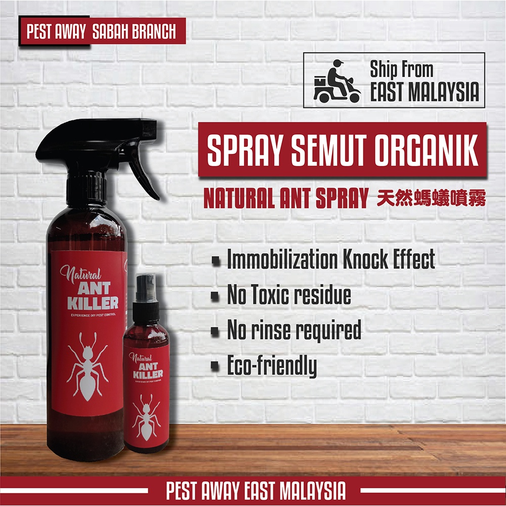 Ant Killing Spray Natural 500ml / Penyembur Semut Natural / 天然蚂蚁喷雾 ...