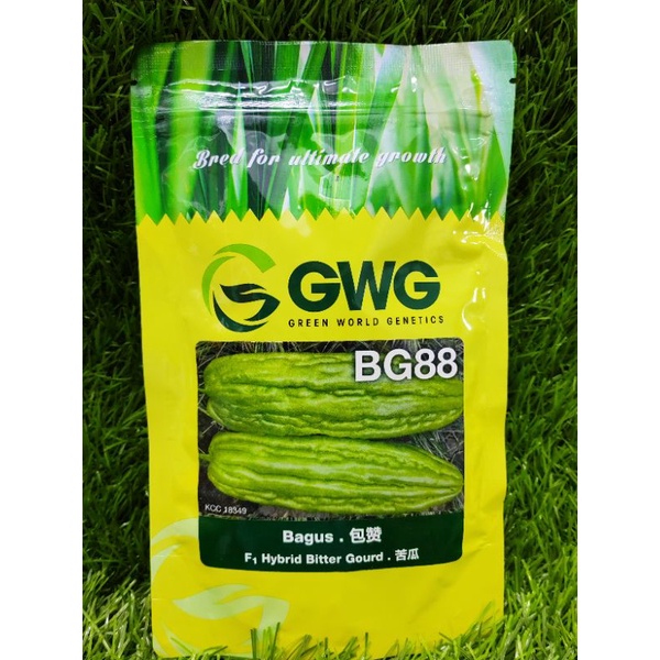 130g F1 BG88 Bagus Peria Hybrid Bitter Gourd GWG 包赞 苦瓜 | Shopee Malaysia
