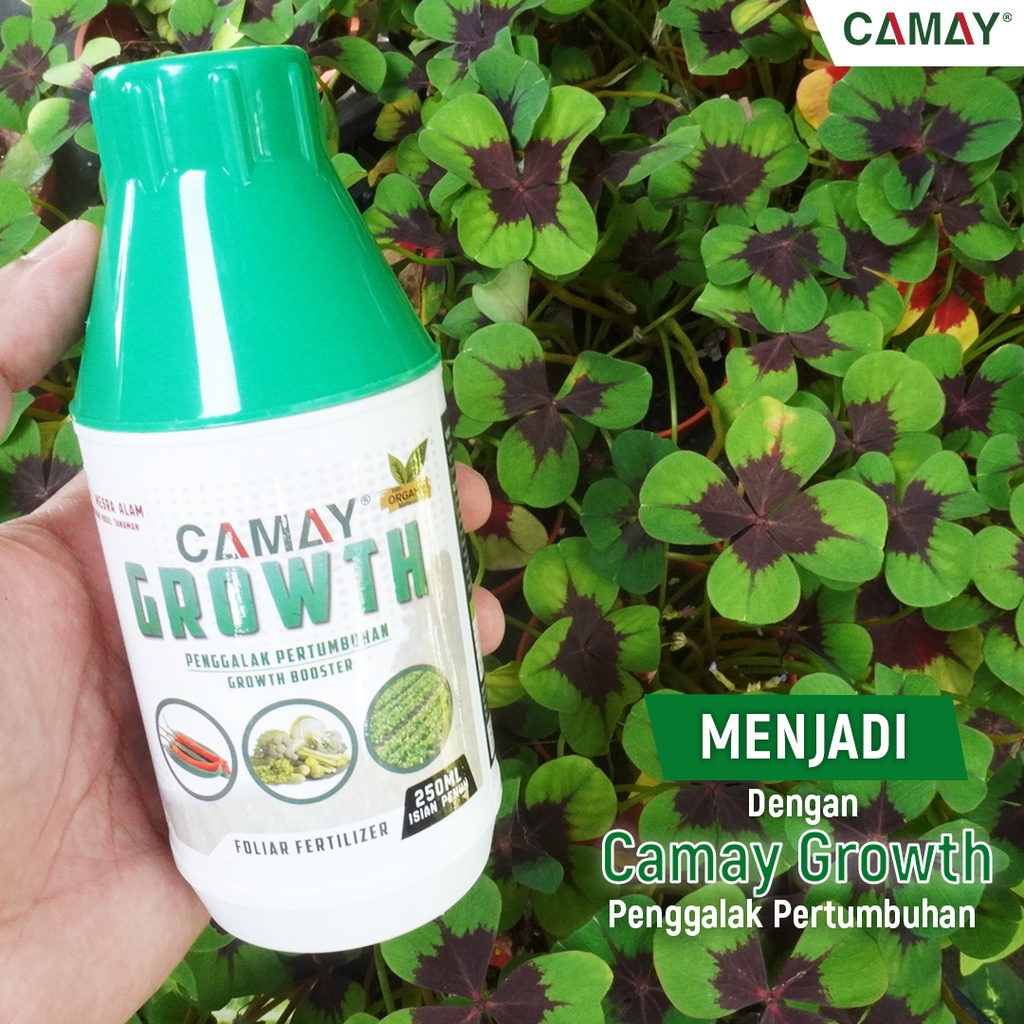 Baja Foliar Camay Growth Penggalak Pertumbuhan Pokok Bunga / Sayur / Buah Foliar Fertilizer ...