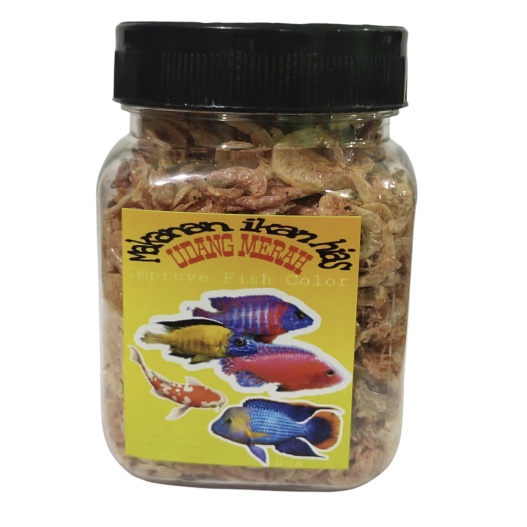 Dried Shrimp Fish Feed Channa Maru Yellow Sentarum Auranti Limbata ...
