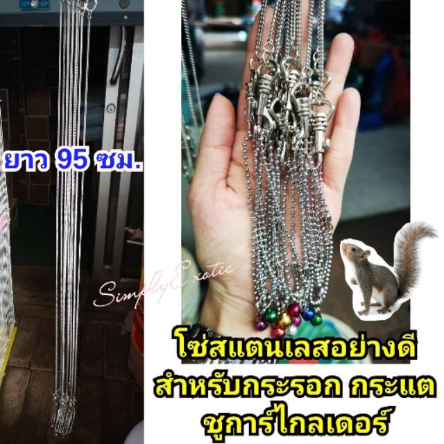 Stainless Steel Chain For Chipmunk Sugar Glider Squirrel (95cm ...