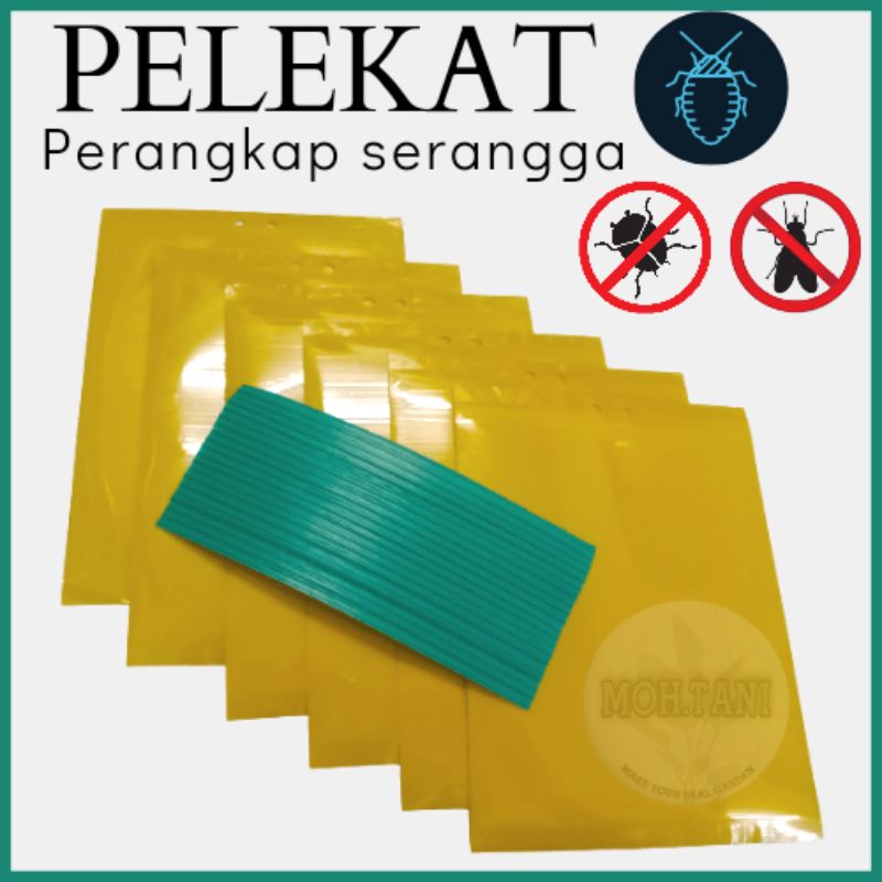 Pelekat perangkap serangga kuning double sides yellow sticky trap ...