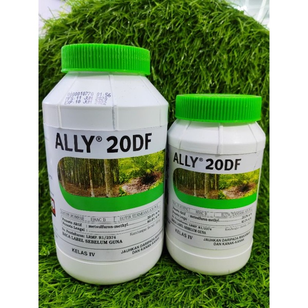 ALLY 20DF 500G/250G DUPONT | A.I: METSULFAN-METHYL 20% | RACUN ANAK ...