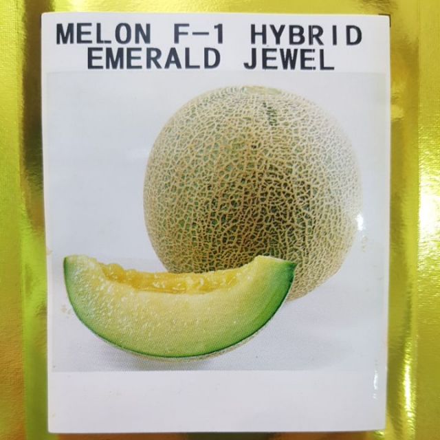 10 seeds Benih Rock Melon Sakata Emerald Jewel F1 Hybrid repack ...