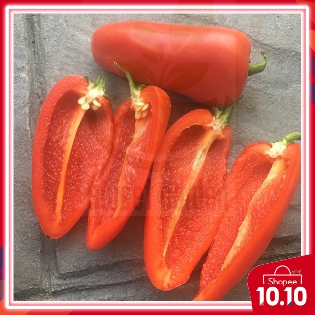 10pcs Seedless mini sweet Jalapeno crunchy pepper( almost seedless ...