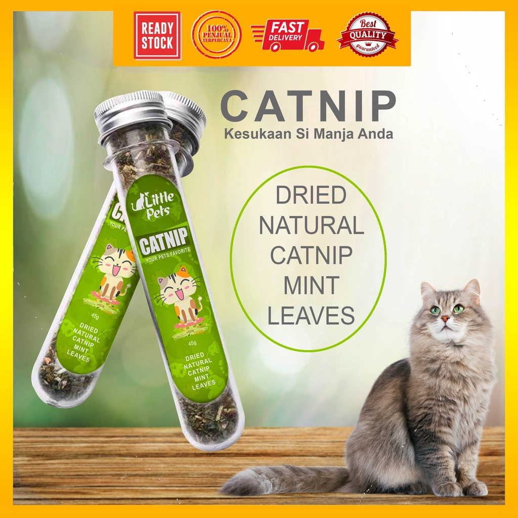 Extra Strong Leaves Catnip / Pokok Galak Kucing / Mainan Kucing - 45g ...