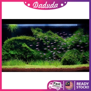 Java Moss Vesicularia Dubyana ( Aquarium /Aquascape / Paludarium ...