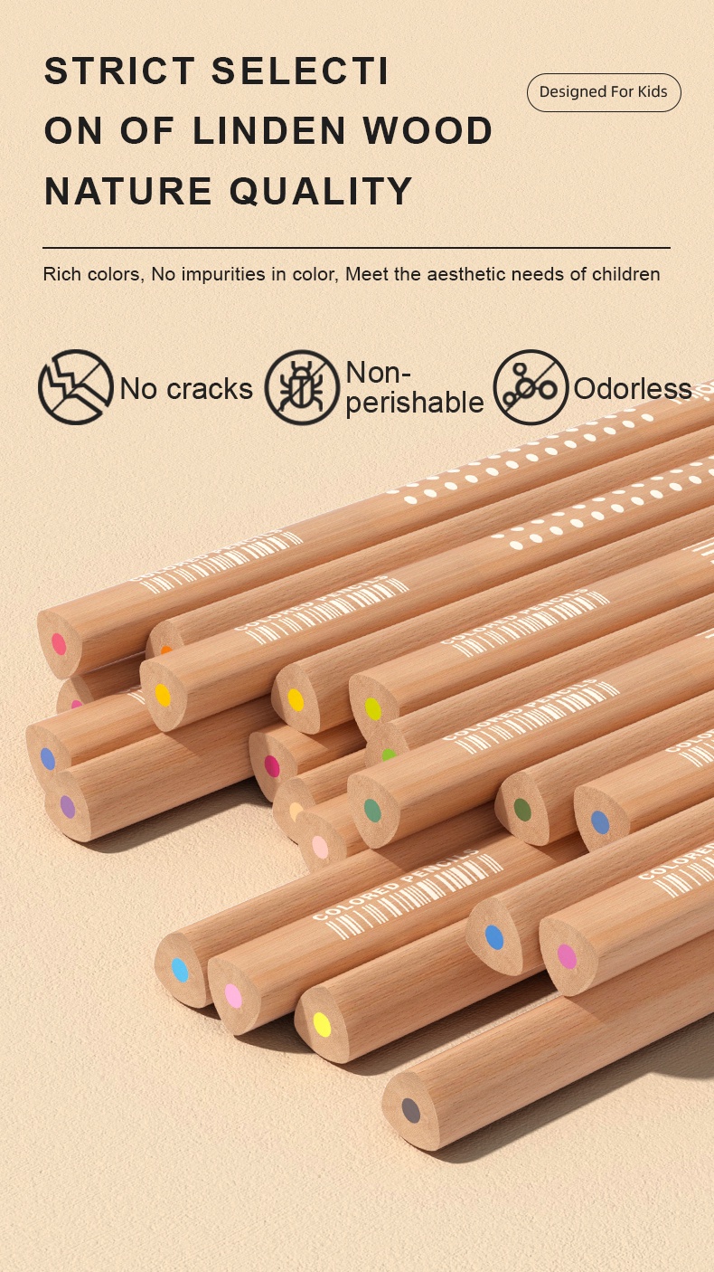 Mideer Vibrant Colored Pencil - 24/ 36 Colors Available | Shopee Malaysia