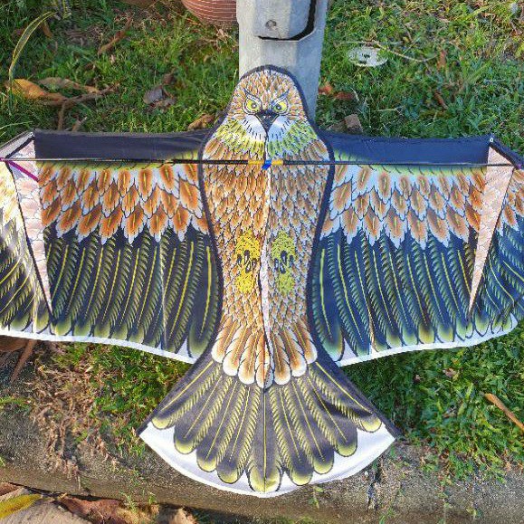 1.8M #HELANG# 3D eagle with front rod Layang Burung Helang kanak 老鹰风筝 ...
