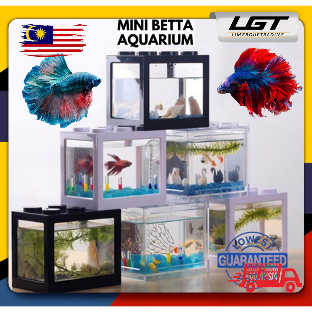 🇲🇾 Betta fish Mini Aquarium Fighting Cylinder Rumble LED Building block ...