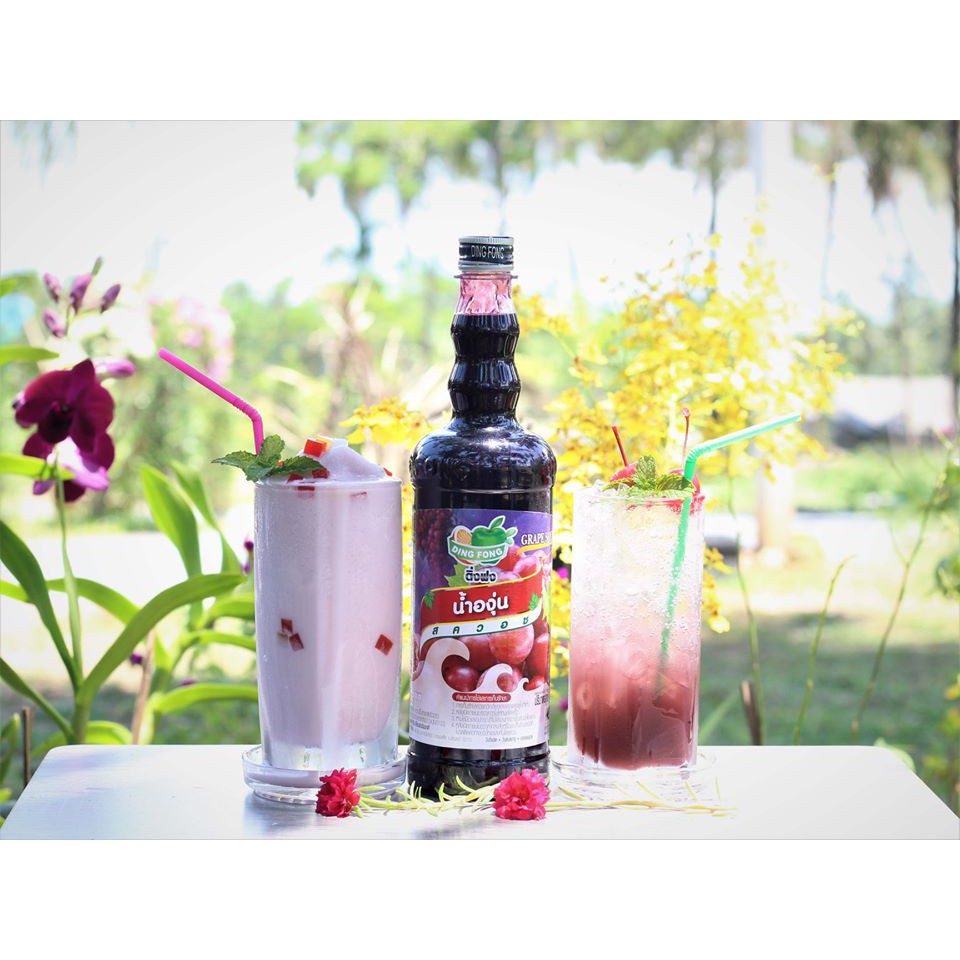 [READY STOCK] Ding Fong Fruit Squash Ding Fong Fruit Syrup Thai Syrup ...
