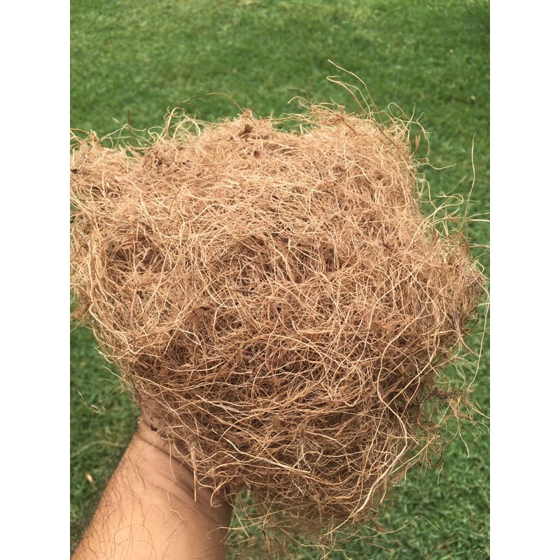 Organic Palm Fibre/ Sabut Kelapa Sawit Kasar Organik 棕榈纤维丝 250g ...