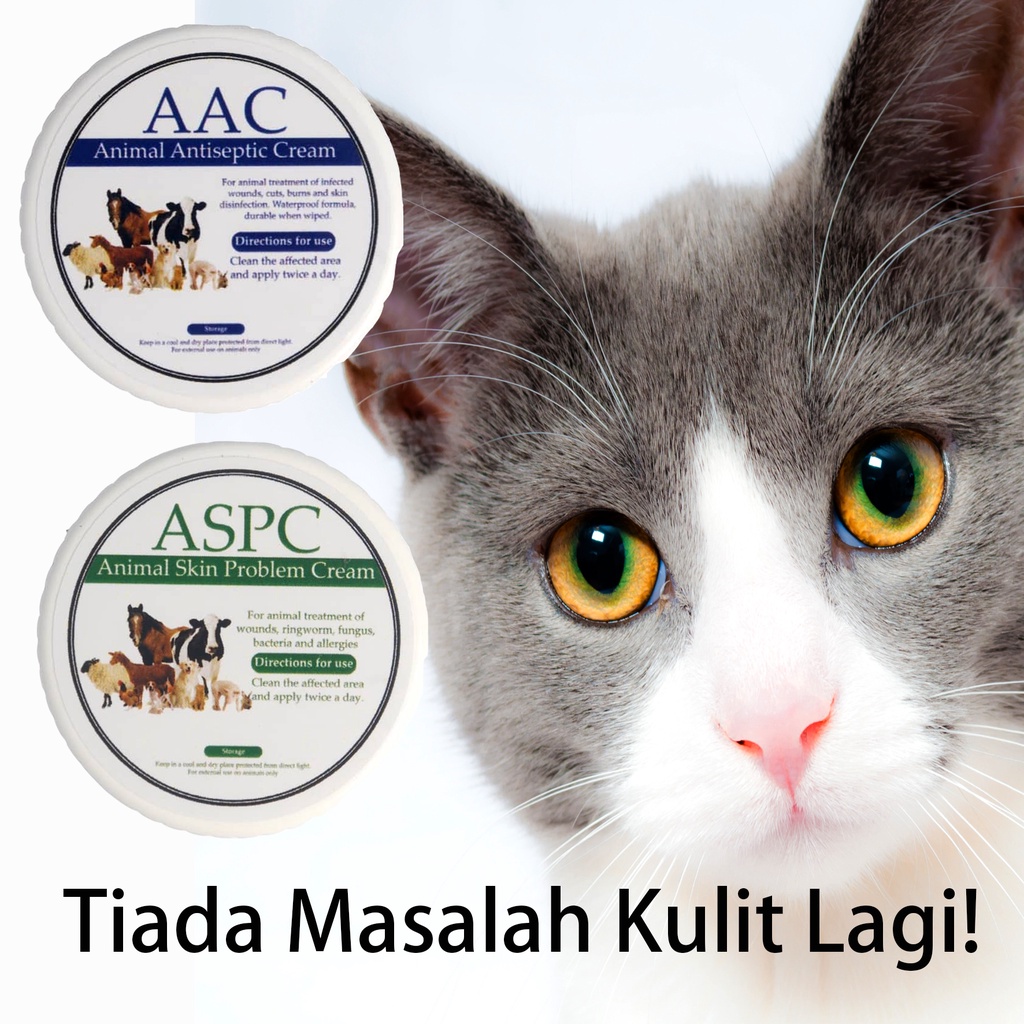 Ubat Kurap Fungus Gatal Sporo Kudis Ringworm Luka kucing ubat kucing ...