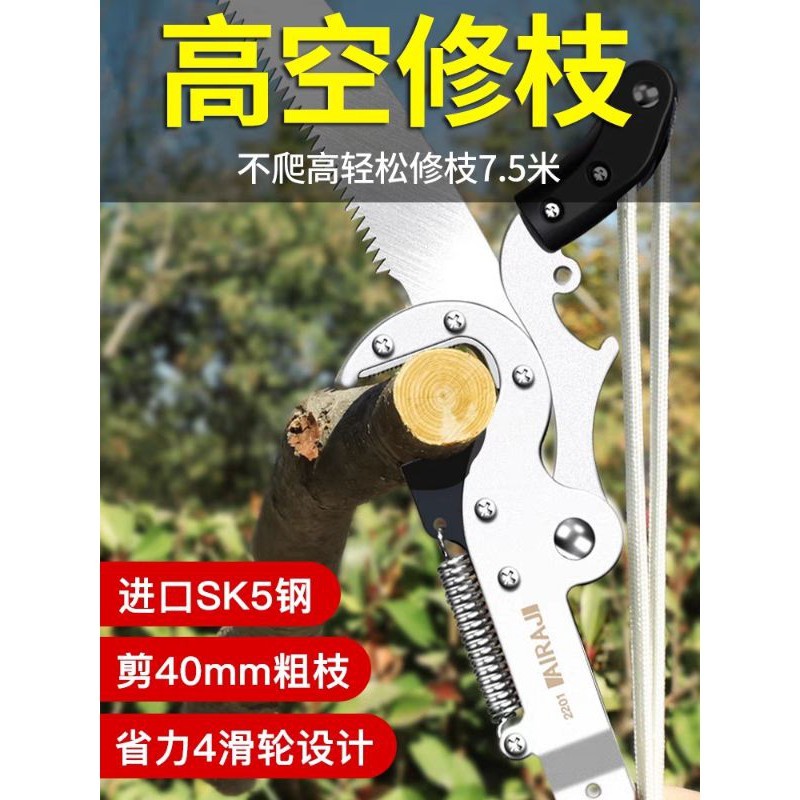 Fruit Tree Pruning Saw/Gunting Dahan pokok dan gergaji /修树枝剪刀 Garden ...