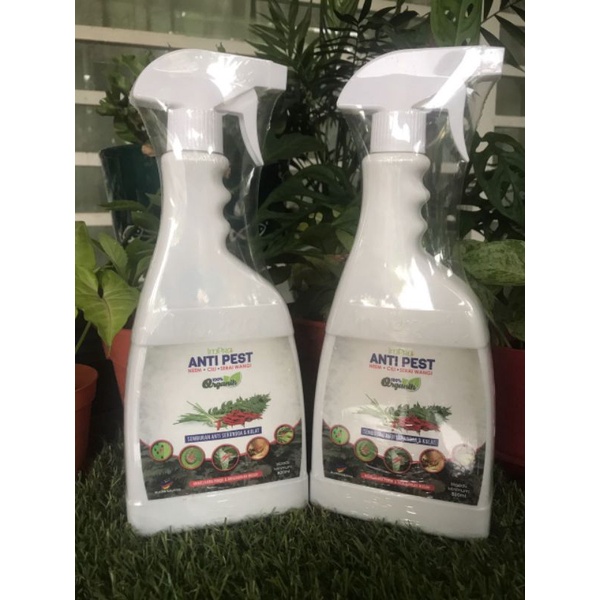 Anti Pest Spray 800ml (Organic Pesticide & Fungicide) | Shopee Malaysia