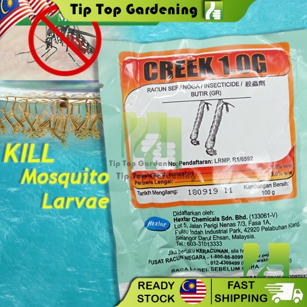 CREEK 1.0G ABATE (100G) INSECTICIDE RACUN SERANGGA FOR MOSQUITO NYAMUK ...