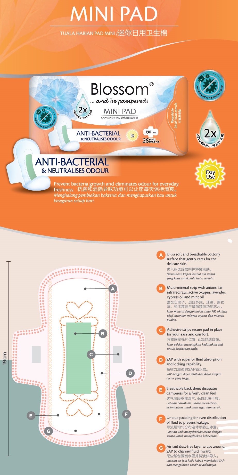 Blossom Mini Pad Wing 190mm (28's) | Shopee Malaysia