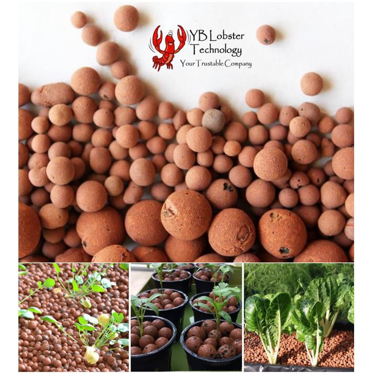 5 KG Clay Pebbles Pebble Ball (LECA) for Hydroponic & Aquaponic ...