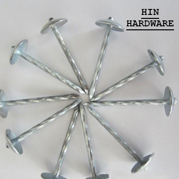 HIN 1 KG Galvanised Roof Nail 2" and 2-1/2" / Paku Bumbung / Paku Atap ...