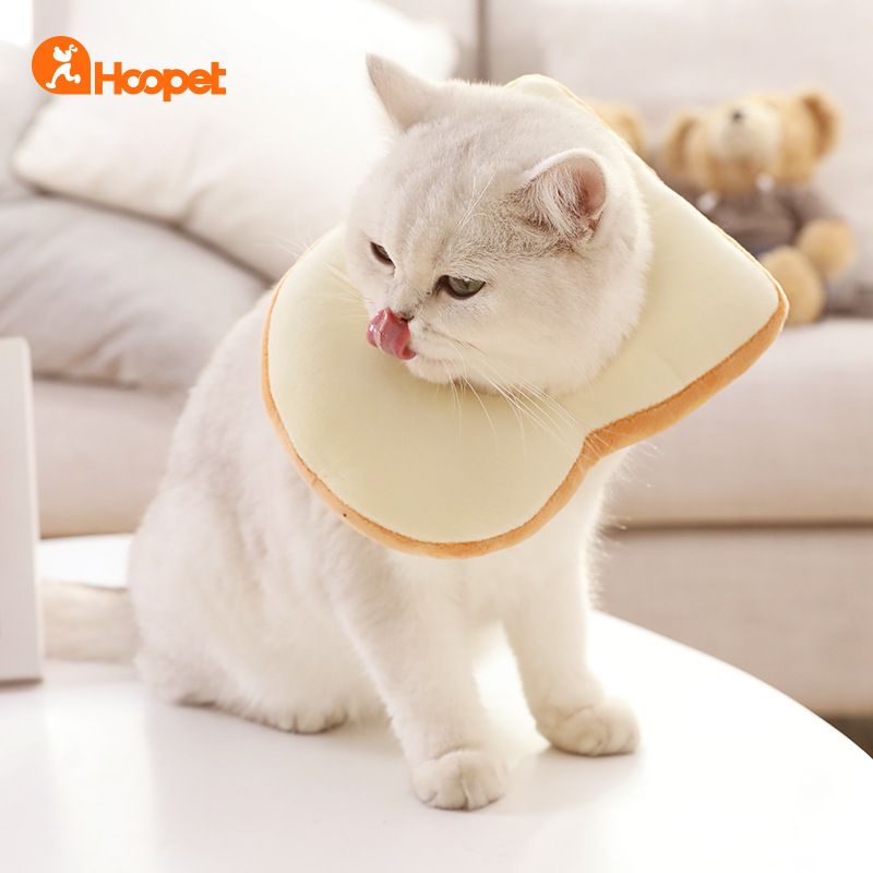 🇲🇾Cat E-collar cartoon cute Elizabeth Circle Cat headgear Cartoon Cute ...