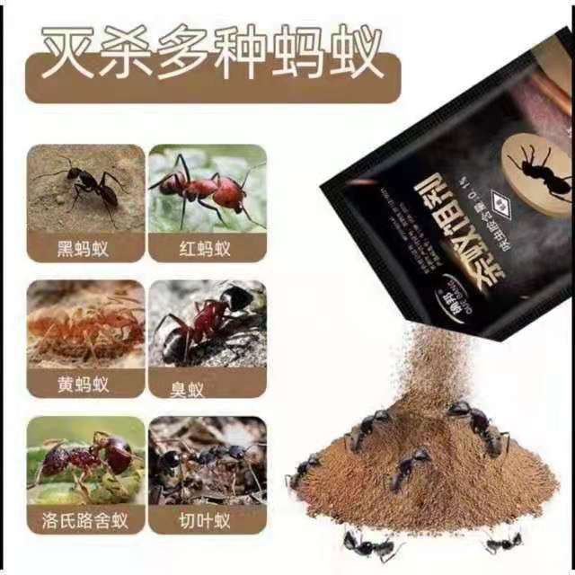 1pcs Ready Stock Ant & Cockroach Killing Bait Powder Serbuk umpan racun ...