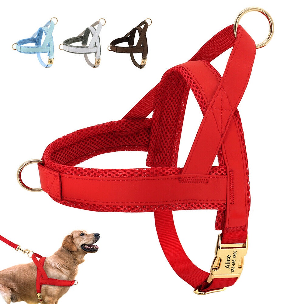 Solid No Pull Dog Harness Custom Name Buckle Soft Mesh Padded Front ...
