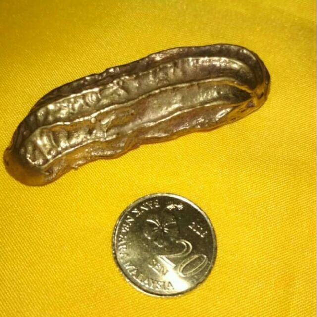 Kacang besi kuning (besi) | Shopee Malaysia