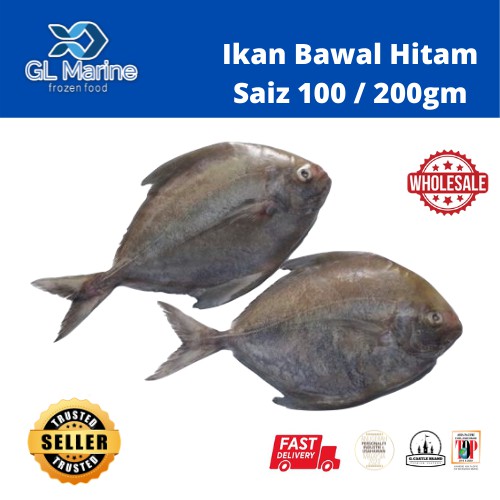 [Best Choice] Ikan Bawal HItam Saiz 100/200GM 1KG+- | Shopee Malaysia