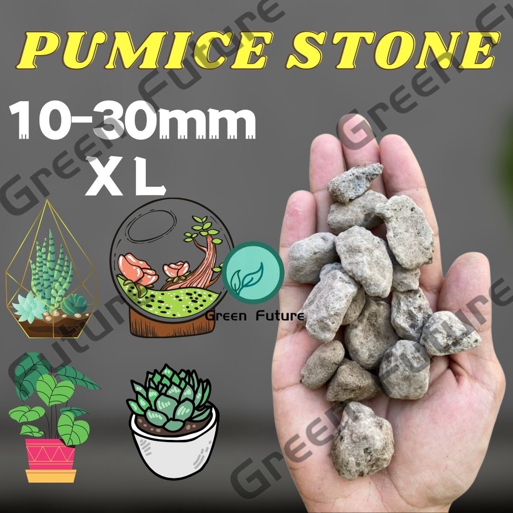 WHOLESALES 3-5mm 5-8mm PUMICE STONE CACTUS SUCCULENT soil batu apung 轻石 ...