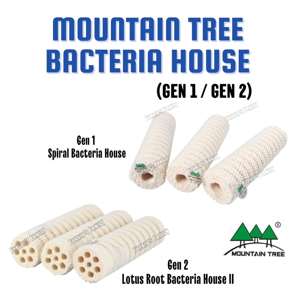 (Clearance!) Mountain Tree Gen 1 Gen 2 Spiral & Lotus Root Bacteria ...