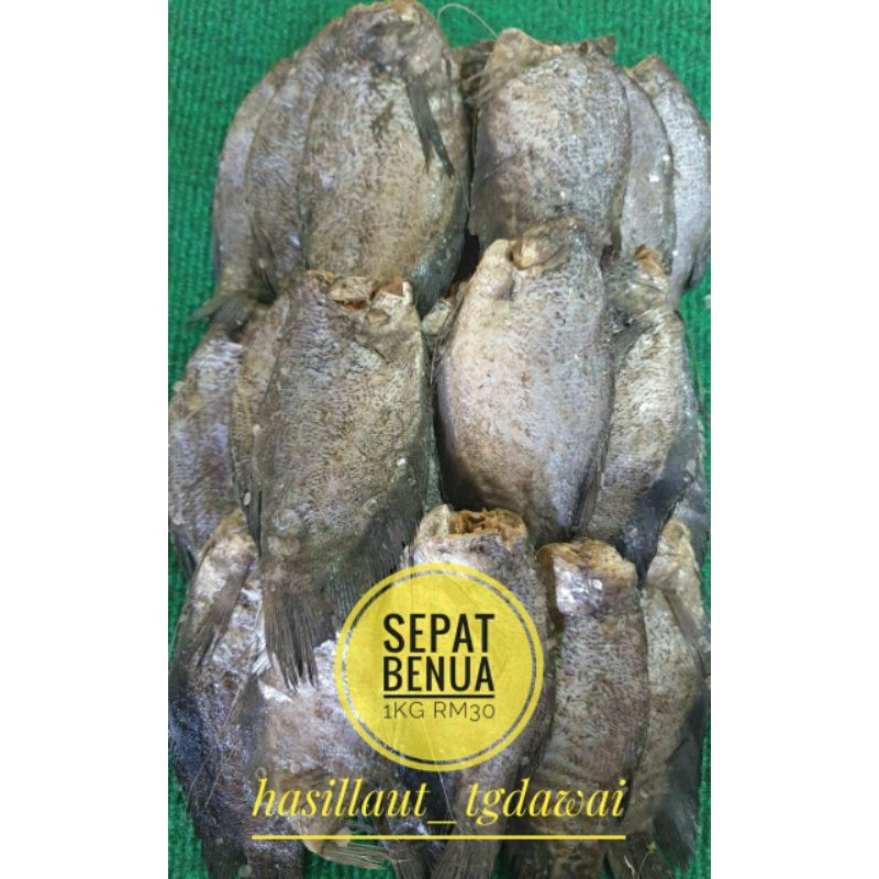 💥 SEPAT BENUA Fresh💥 | Shopee Malaysia