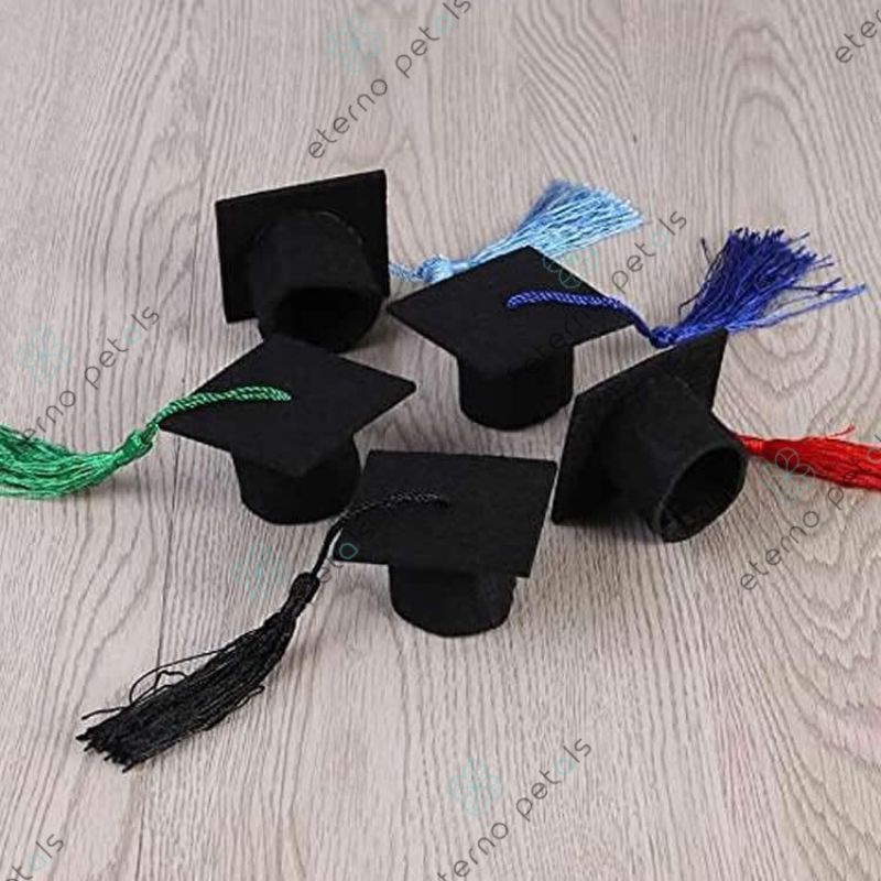 1 psc Mini Graduation Hat | Convocation Cap | Square academic cap ...